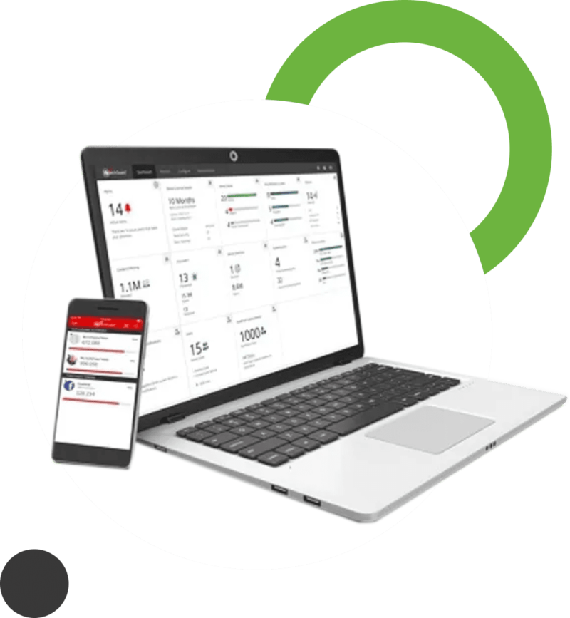 Watchguard Solutions - 10-100